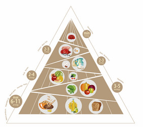 Food pyramid of pie chart Royalty Free Vector Image