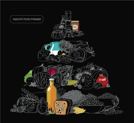 Food pyramid Royalty Free Vector Image - VectorStock