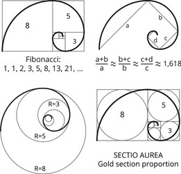 Golden ratio template fibonacci Royalty Free Vector Image