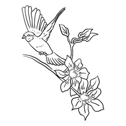 Flower with bird line drawing Royalty Free Vector Image