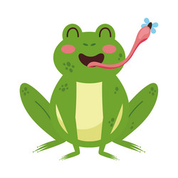 Frog eating fly isolated Royalty Free Vector Image