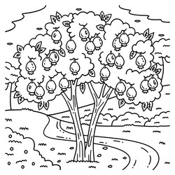 Avocado tree fruit plant coloring page for kids Vector Image