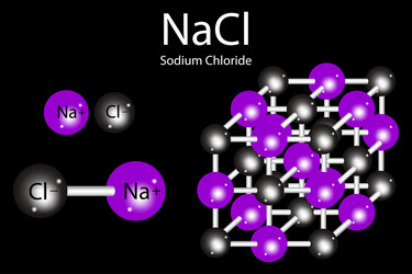 Nacl Vector Images (22)
