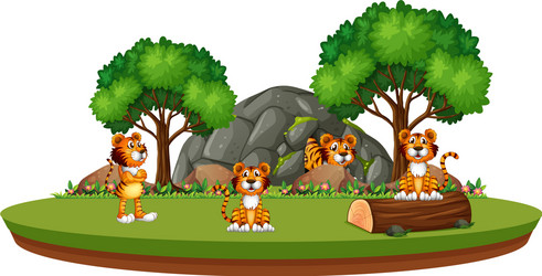 Tiger sleeping in front of the cave Royalty Free Vector