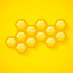 Beehive Pattern Illustrator
