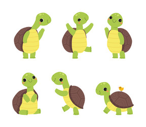Cute turtle with shell and short feet engaged in Vector Image