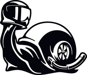 Turbo Snail Vector Images (94)