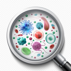 Micro bacteria organisms microscopic bacillus Vector Image