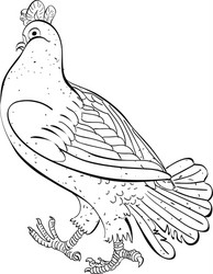 Cartoon image of pigeon Royalty Free Vector Image