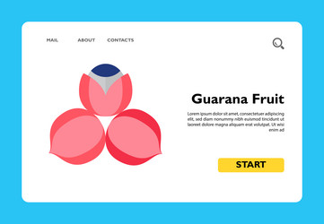 Guarana Icon Vector Images (over 130)