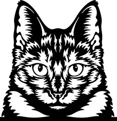Tortoiseshell Cat Vector Images (37)