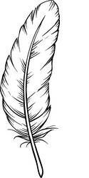 Hand drawn feathers Royalty Free Vector Image - VectorStock