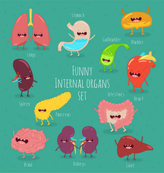Funny Pancreas Drawing
