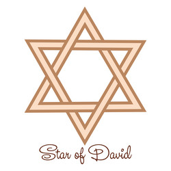 Star of david an ancient symbol decorated Vector Image