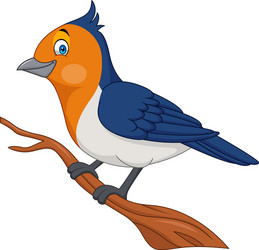 Cartoon robin bird sitting on a tree branch Vector Image