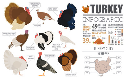 Farming Infographic Poultry Vector Images (over 200)