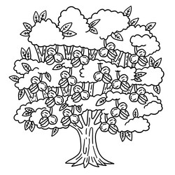 Mango tree fruit plant isolated coloring page Vector Image