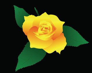 Yellow Rose Vector Images (over 20,000)
