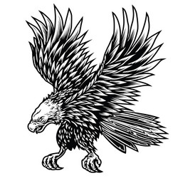 Screaming Eagle Vector Images (94)