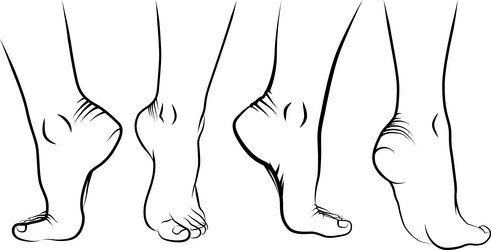 Colorful feet background Royalty Free Vector Image