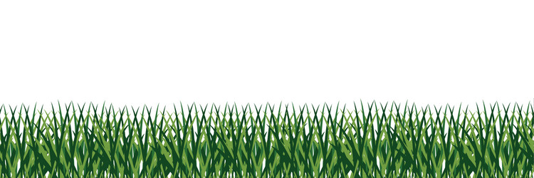Fresh green grass field Royalty Free Vector Image
