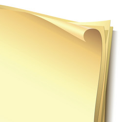 Golden and creamy background divided into two Vector Image