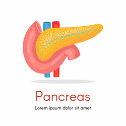 Pancreas Vector Images (over 5,400)