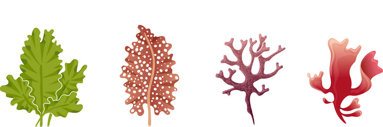 Algae Cartoon Vector Images (over 7,400)