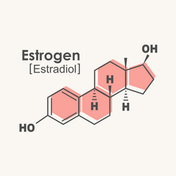 Estradiol structural formula of molecular Vector Image