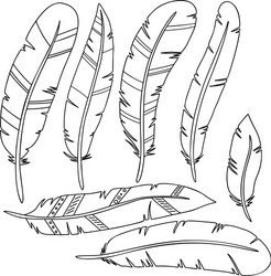 Hand drawn feathers Royalty Free Vector Image - VectorStock