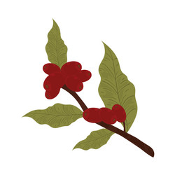 Coffee Tree Vector Images (over 12,000)