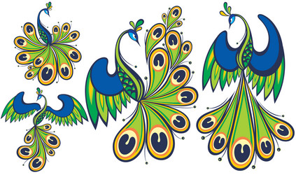 Peacock logo Royalty Free Vector Image - VectorStock