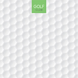 Golf ball texture background Royalty Free Vector Image