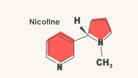 Nicotine Molecule Structure