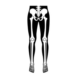 Skeleton Leg Drawing
