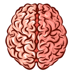 Red Brain Drawing