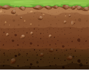 Grass with underground layers earth Royalty Free Vector
