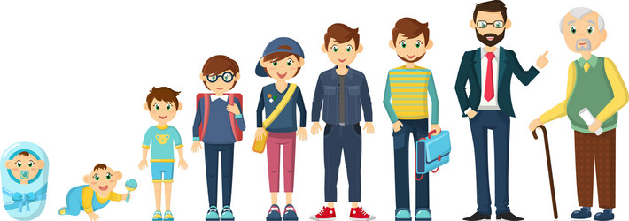 Human life cycles male Royalty Free Vector Image