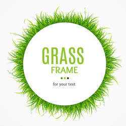 Green Grass Floral Frame Royalty Free Vector Image