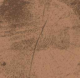 Tree cross section Royalty Free Vector Image - VectorStock