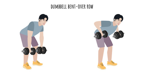 Dumbbell Bent Over Row Vector Images (40)