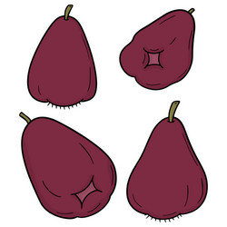 Rose Apple Vector Images (over 2,200)