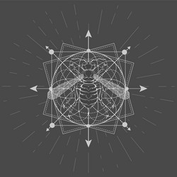 Bee Sacred Geometry Vector Images (98)