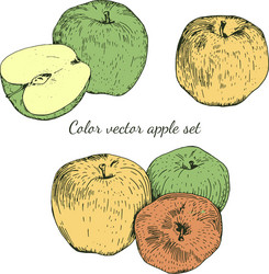 Apple Color Vector Images (over 47,000)