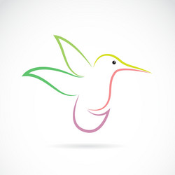 Simple hummingbird Royalty Free Vector Image - VectorStock