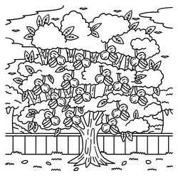 Fig tree fruit plant coloring page for kids Vector Image