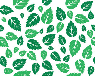 Mint fresh leaves template Royalty Free Vector Image