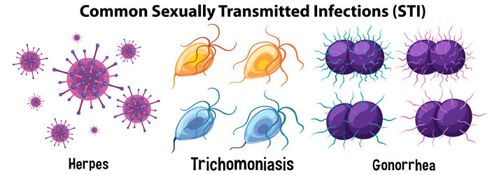 Common sexually transmitted infections sti Vector Image