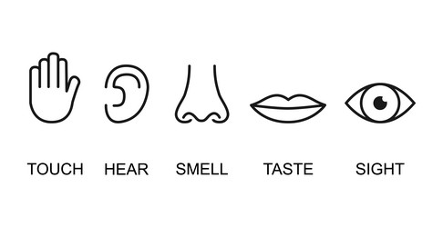 Outline icon set of five human senses vision eye Vector Image
