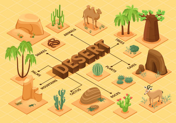 Desert Infographics Animal Vector Images (over 200)